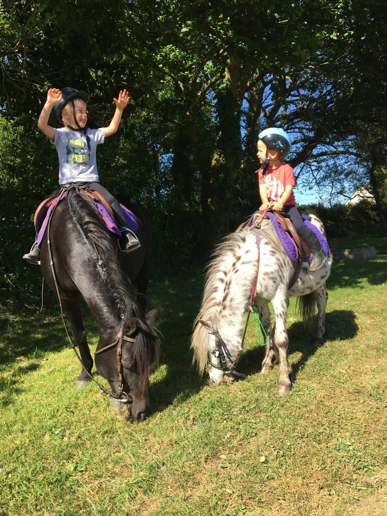 Rulan Équitation - Centre équestre à Trégastel