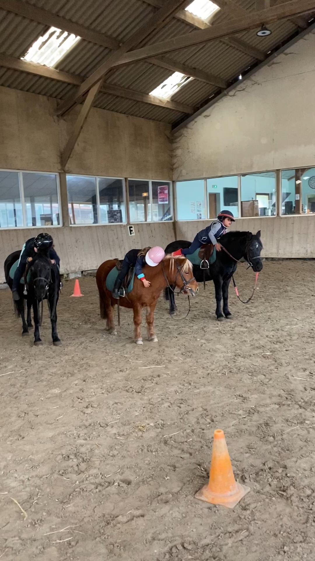 Rulan Équitation - Centre équestre à Trégastel